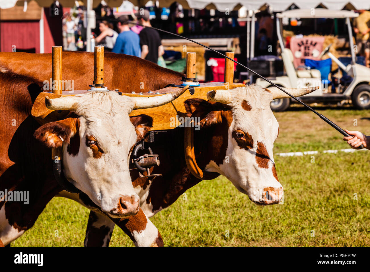 Brooklyn Fair Brooklyn, Connecticut, USA Stock Photo - Alamy