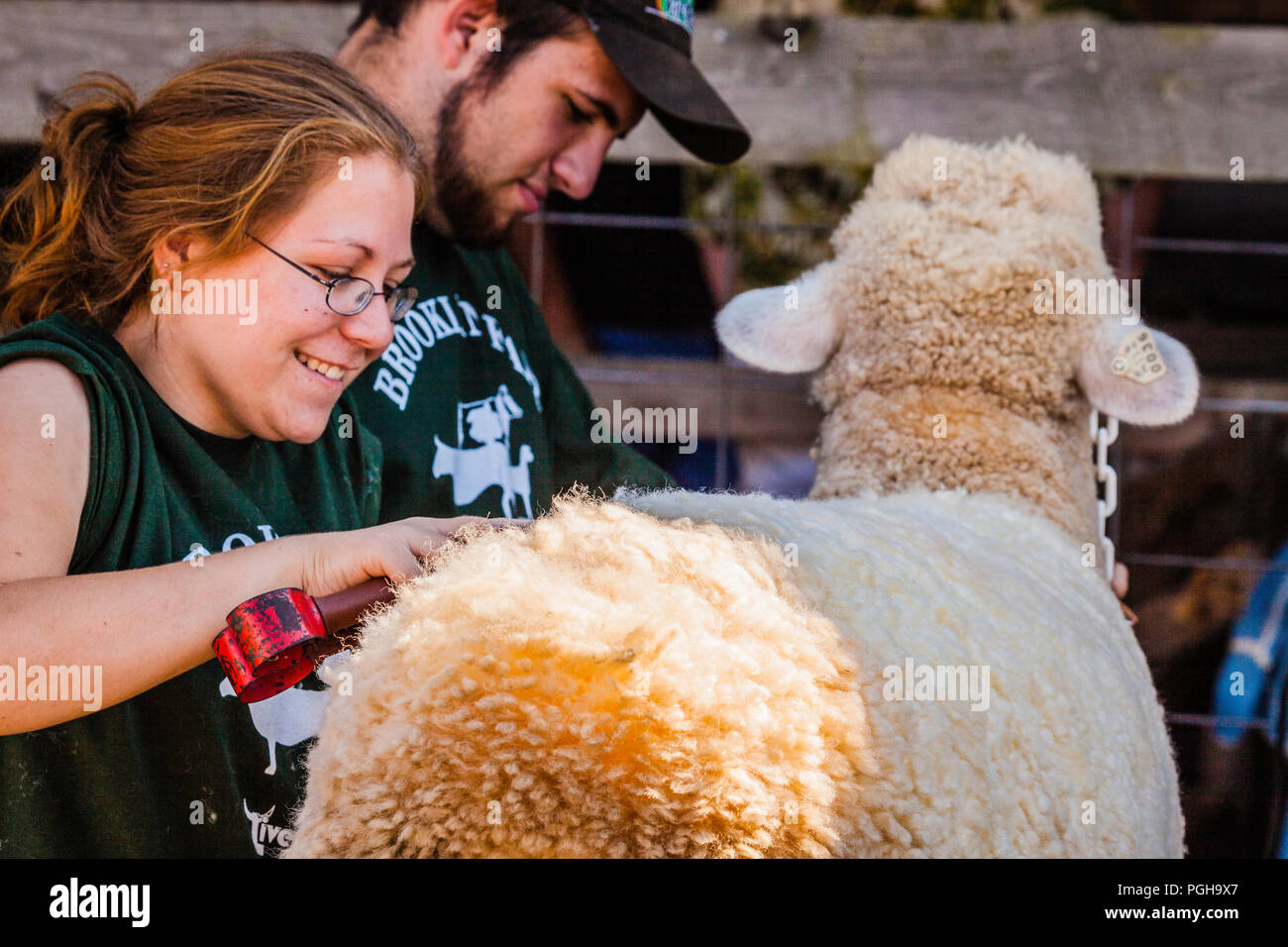 Brooklyn Fair Brooklyn, Connecticut, USA Stock Photo - Alamy