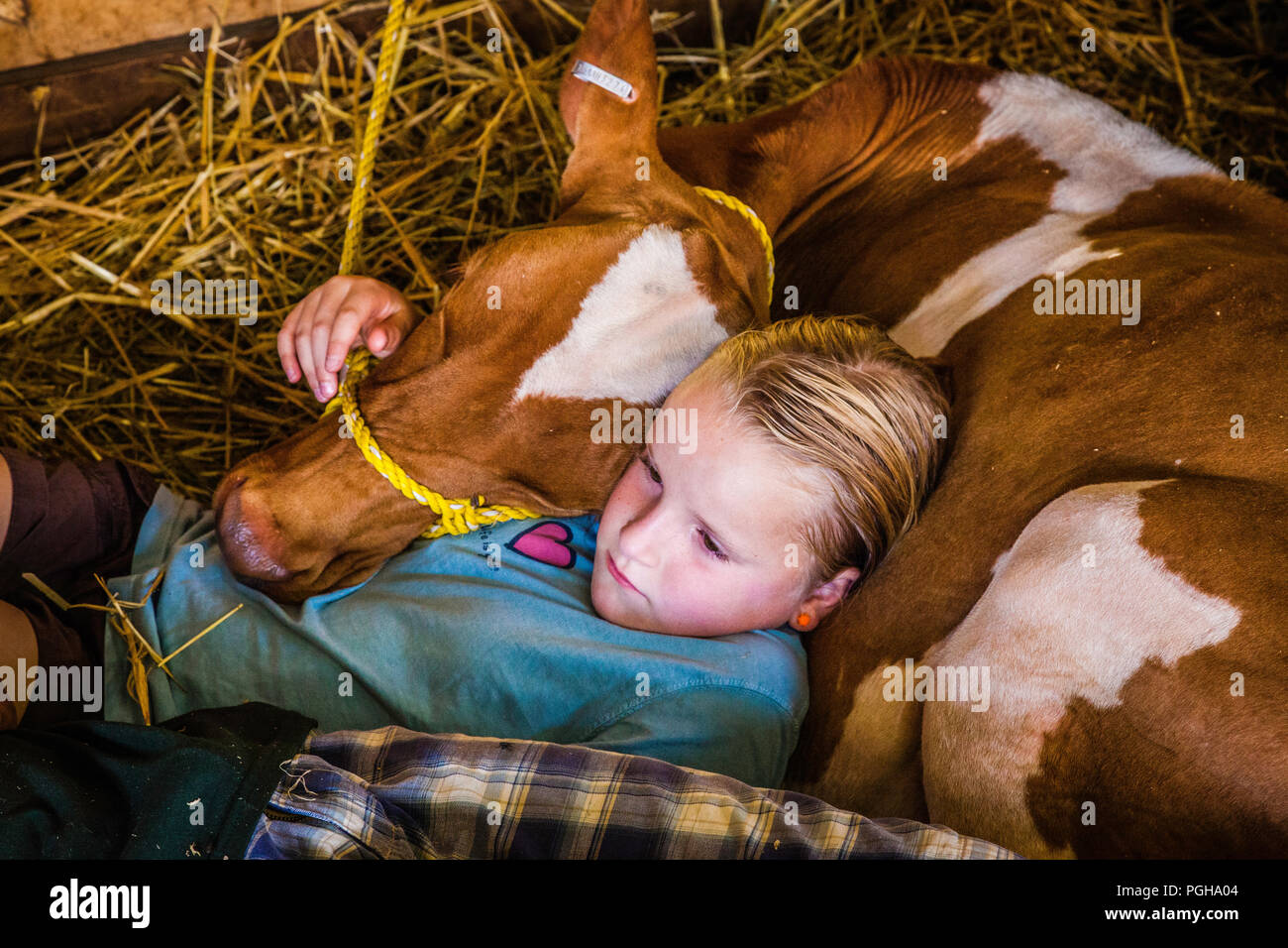 Brooklyn Fair Brooklyn, Connecticut, USA Stock Photo - Alamy