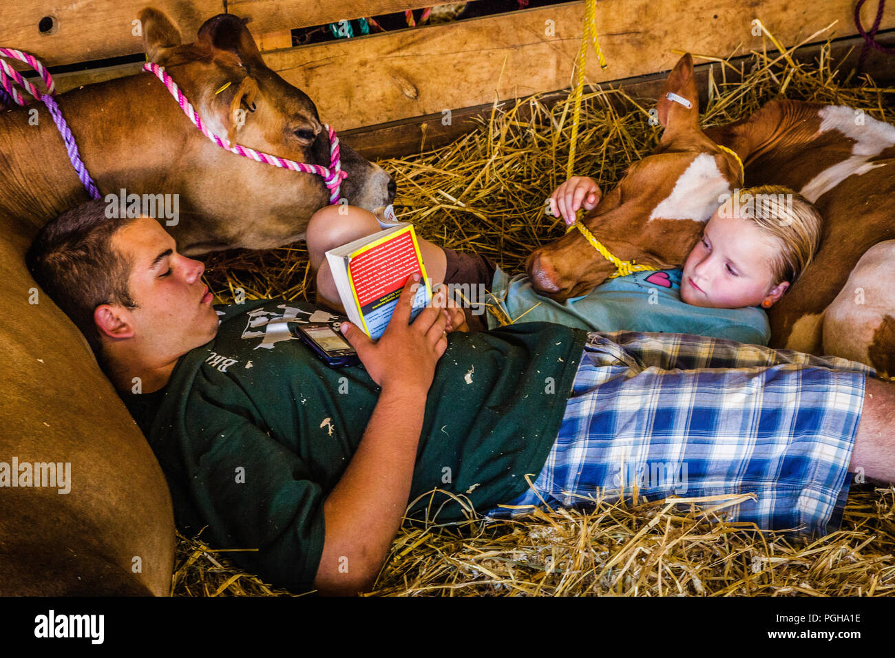 Brooklyn Fair Brooklyn, Connecticut, USA Stock Photo - Alamy