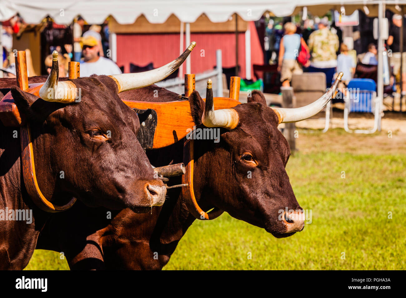 Brooklyn Fair Brooklyn, Connecticut, USA Stock Photo - Alamy