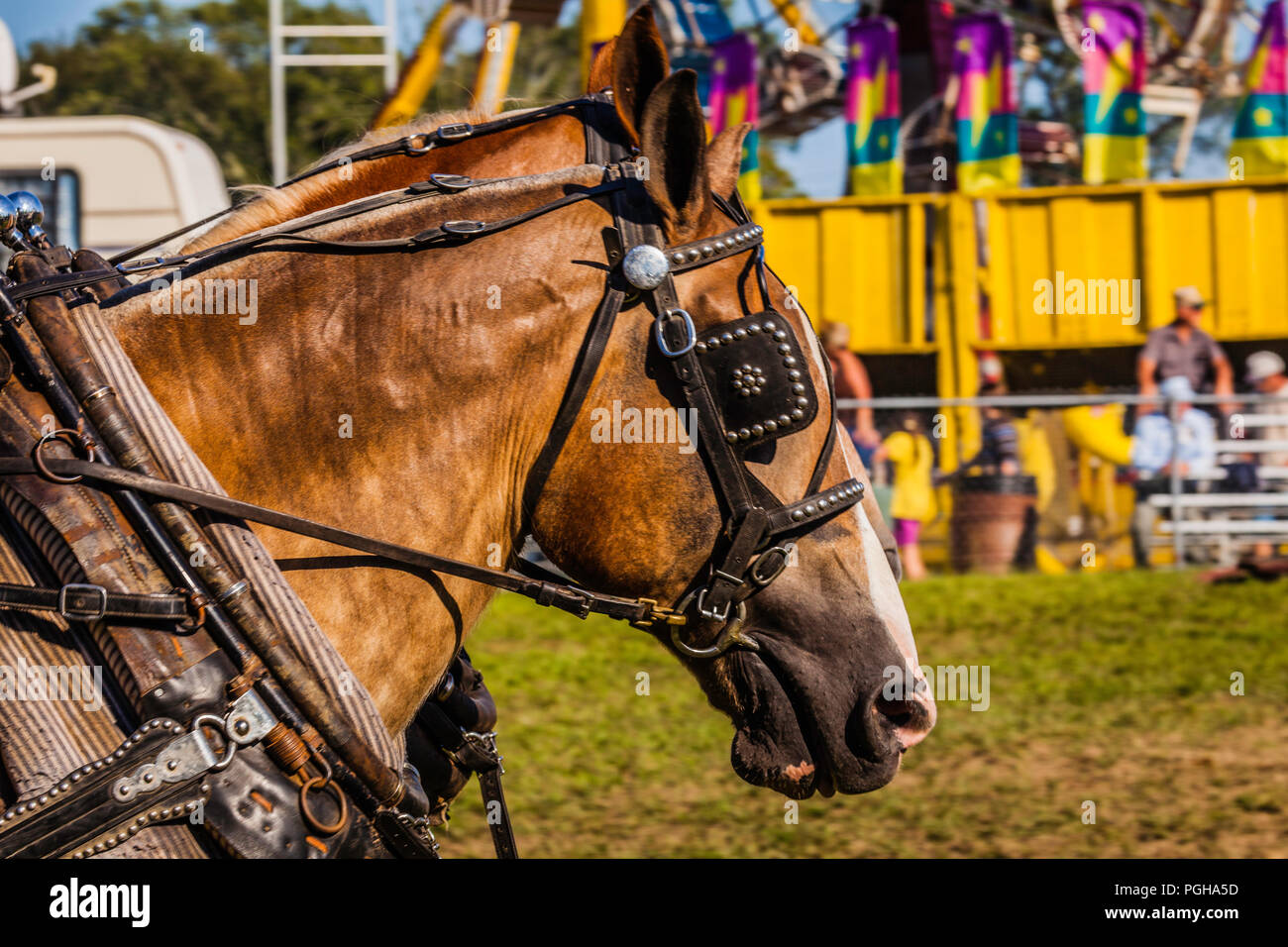 Brooklyn Fair Brooklyn, Connecticut, USA Stock Photo - Alamy