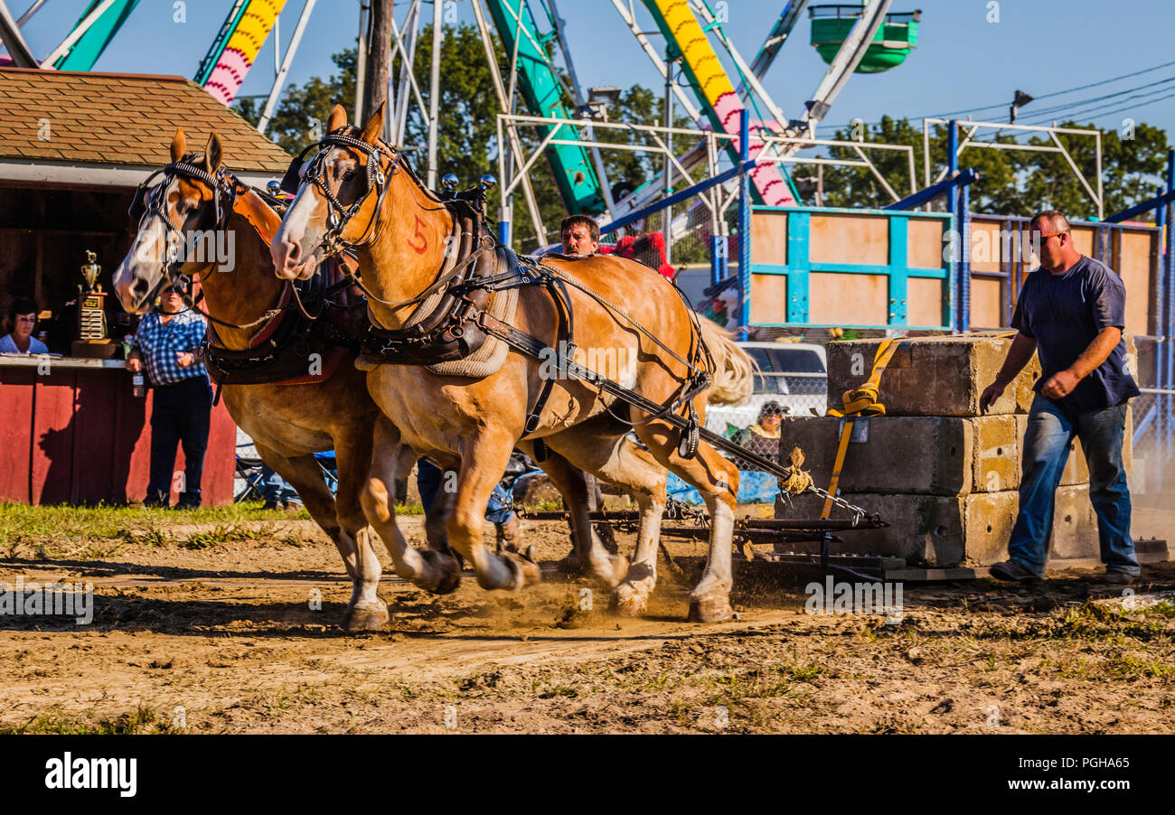 Brooklyn Fair Brooklyn, Connecticut, USA Stock Photo - Alamy