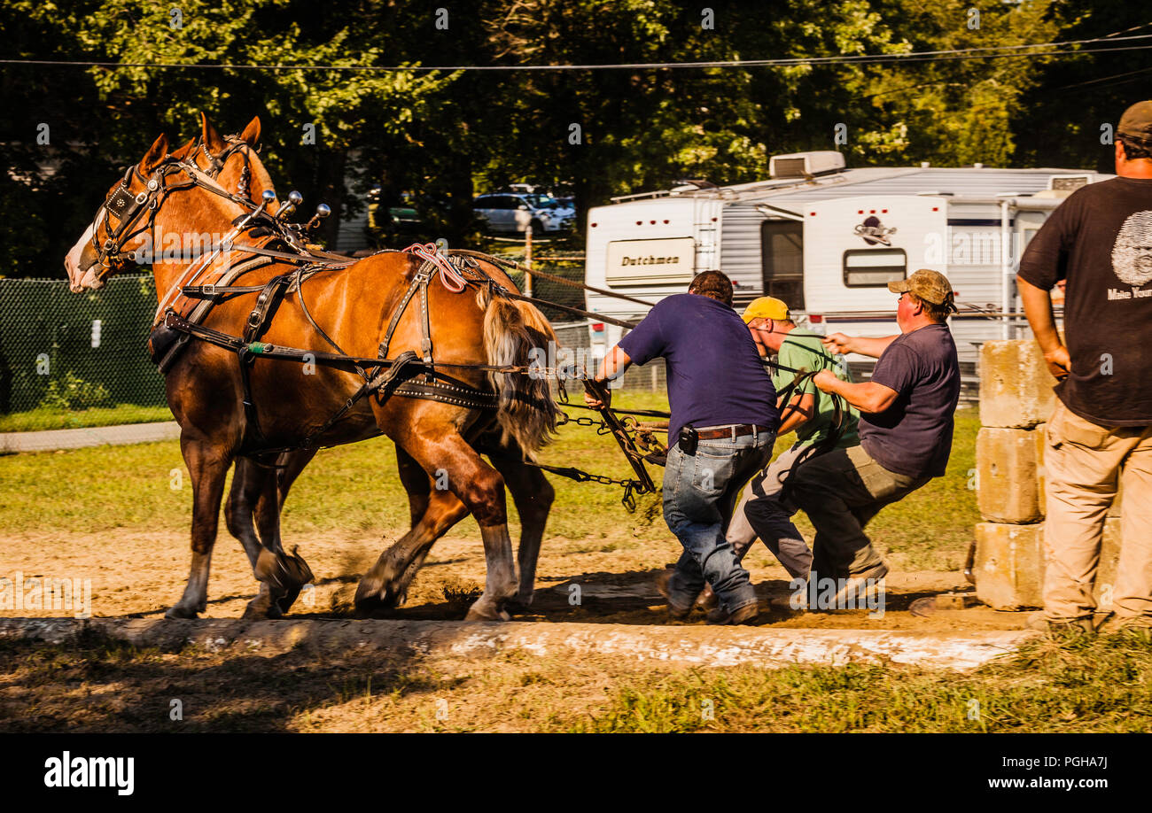Brooklyn Fair Brooklyn, Connecticut, USA Stock Photo - Alamy