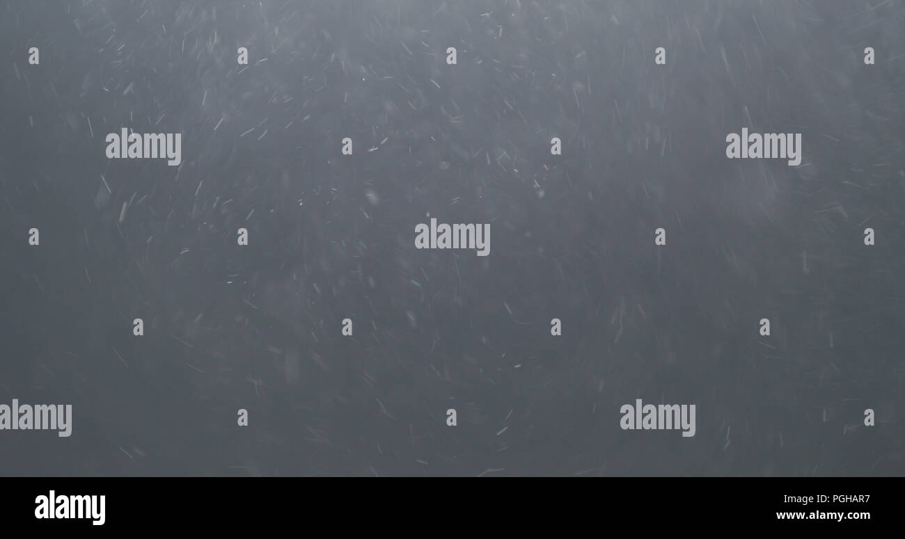 backlit dust particles explosion effect on a black background with ...