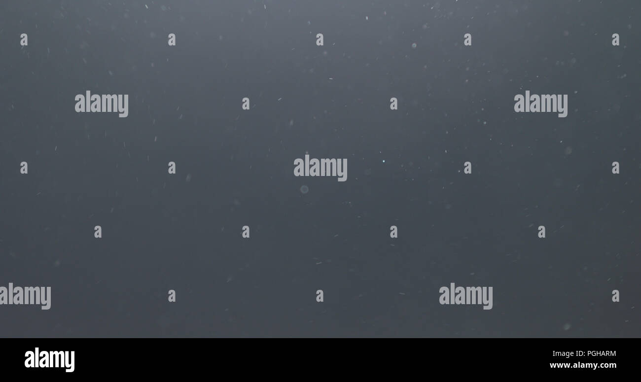 Atmospheric dust particles floating in hi-res stock photography and ...