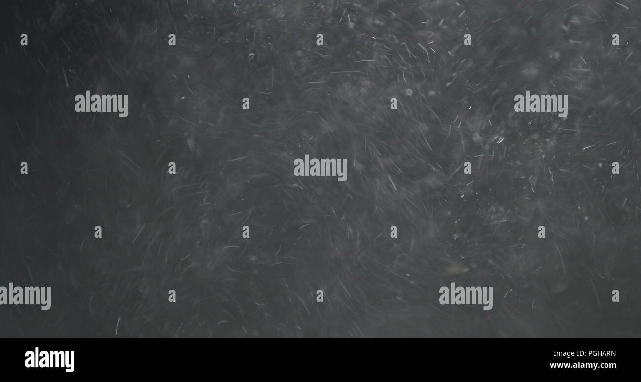Macro shot of fast moving dust particles on a black background, wide ...