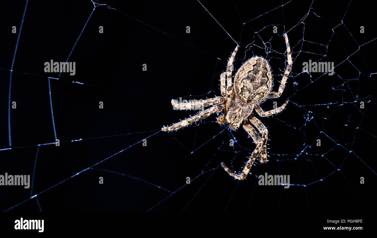 Spooky bridge hi-res stock photography and images - Alamy