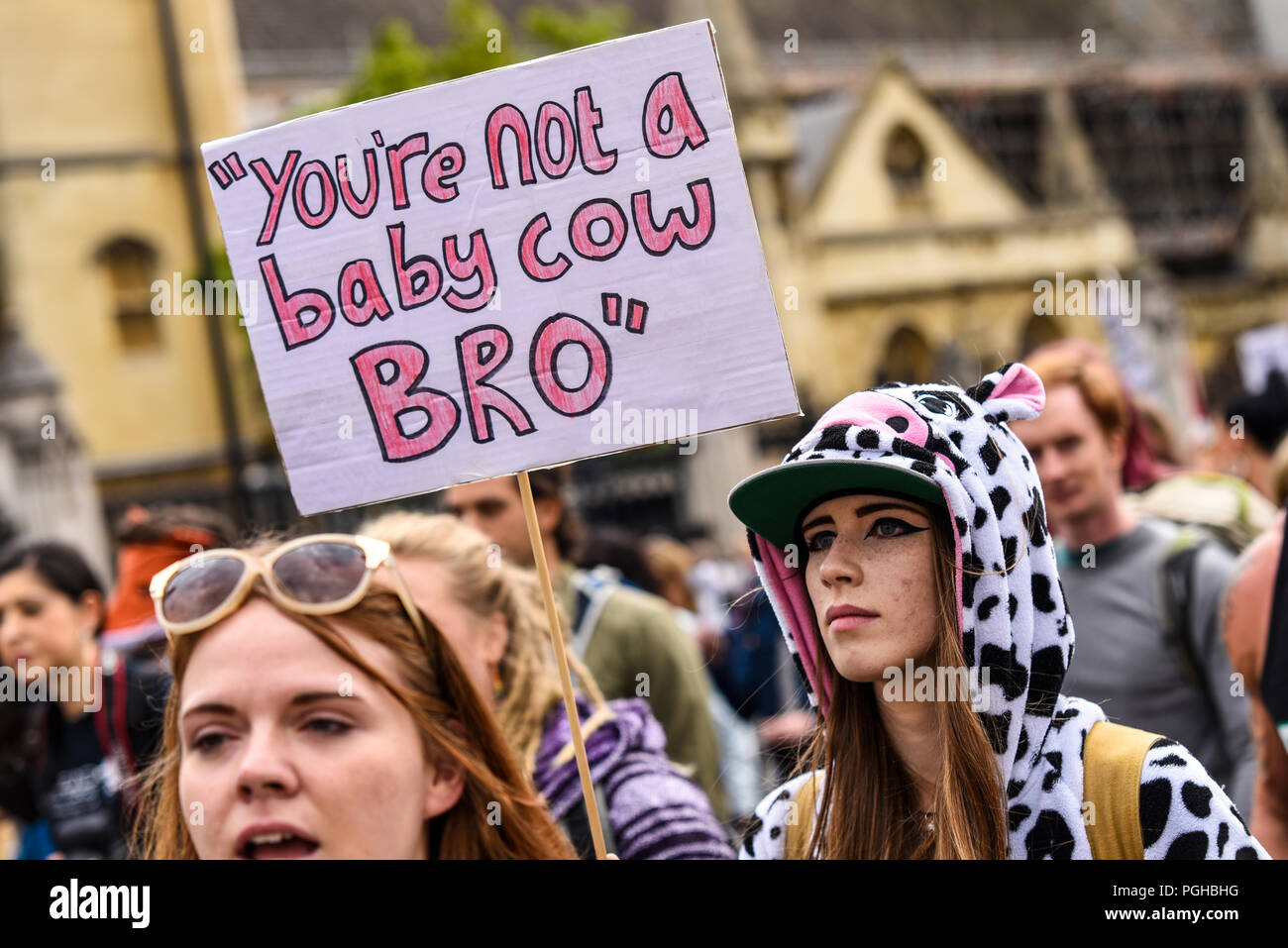 Cow houses parliament hi-res stock photography and images - Alamy