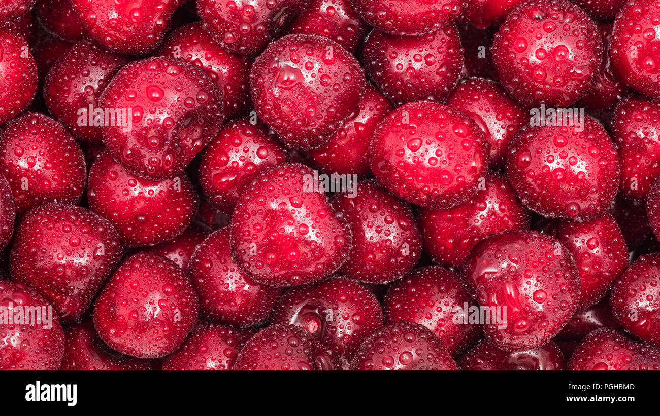 Culinary background of sweet red cherries with water drops. Beautiful ...