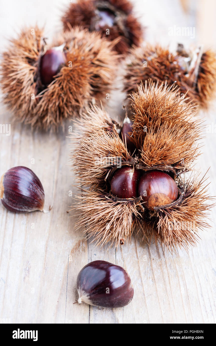 Thorny Fruits High Resolution Stock Photography and Images - Alamy
