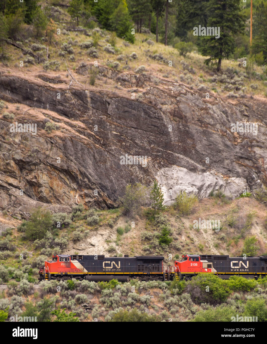 Two CN Railways heavy diesel locomotives hauling a freight train in ...