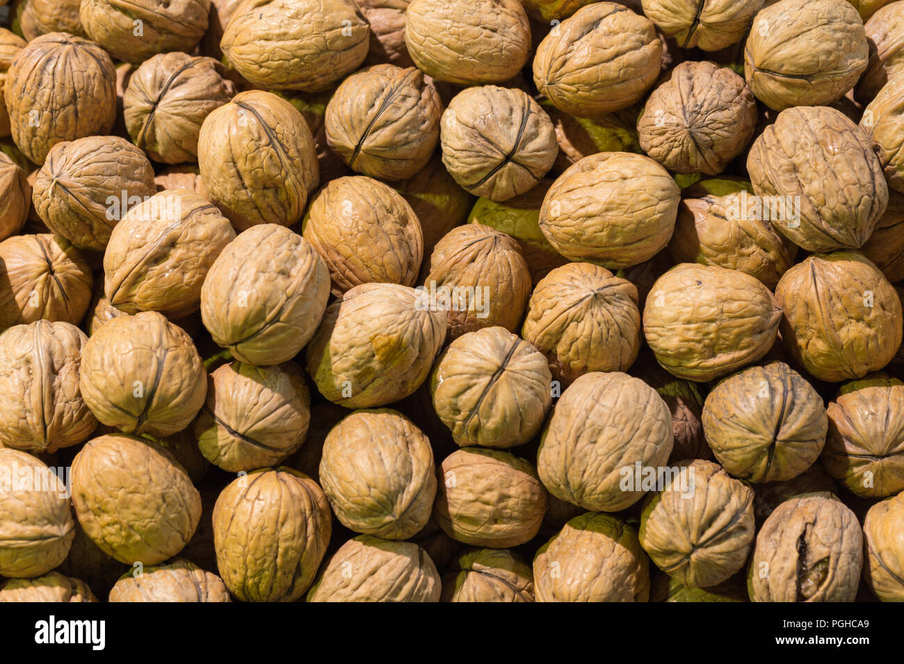 Whole healthy walnuts, full plan Stock Photo - Alamy