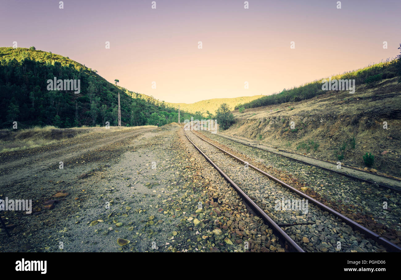 Rail track between trees hi-res stock photography and images - Alamy