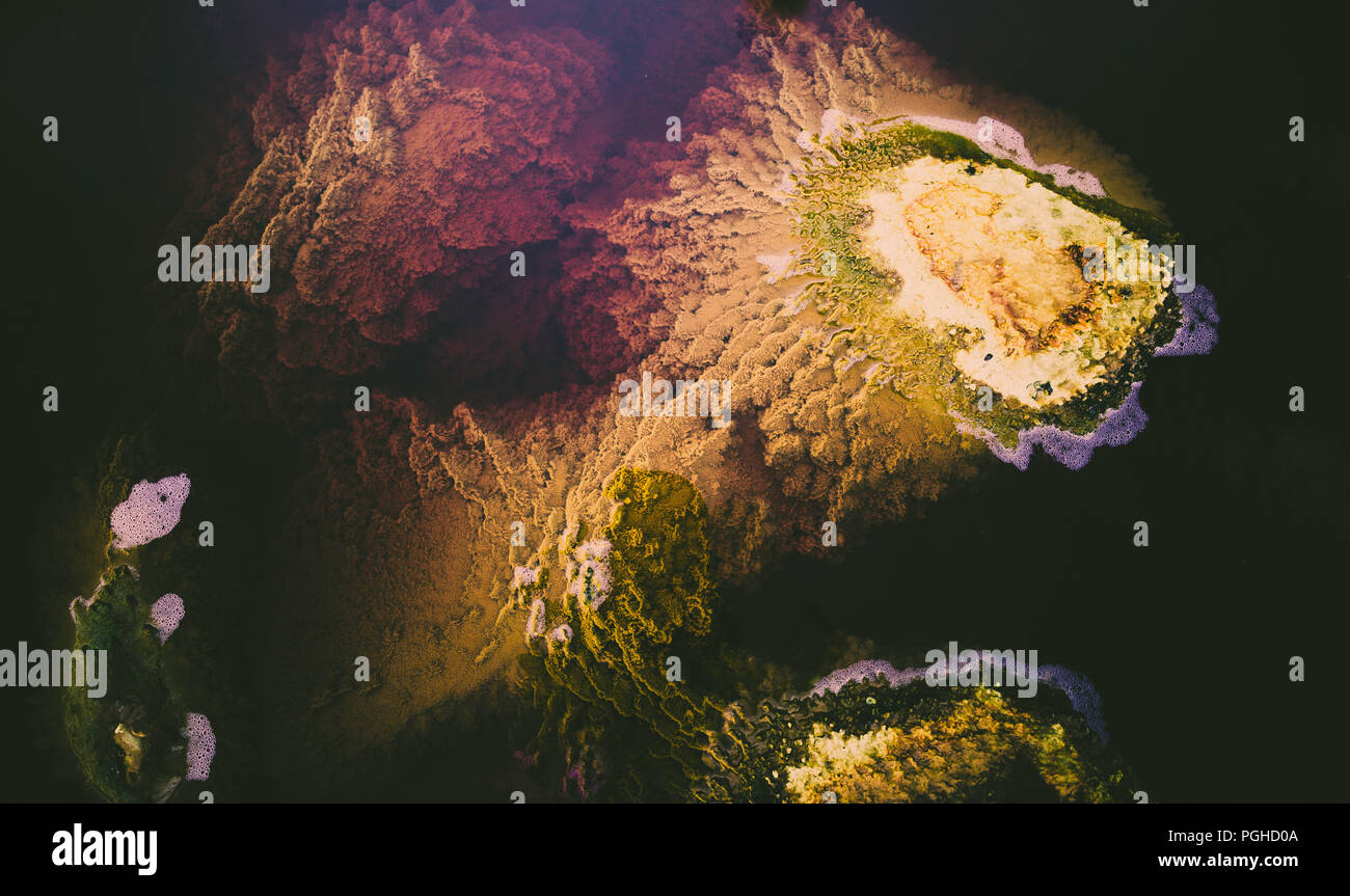 Rocks covered with moss in the acid waters, in whose bottom there are ...