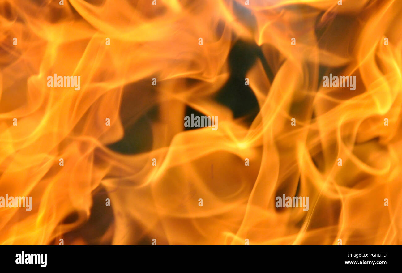 Fire. Wood burning in the fire. Orange flame. Tongue of flame Stock ...