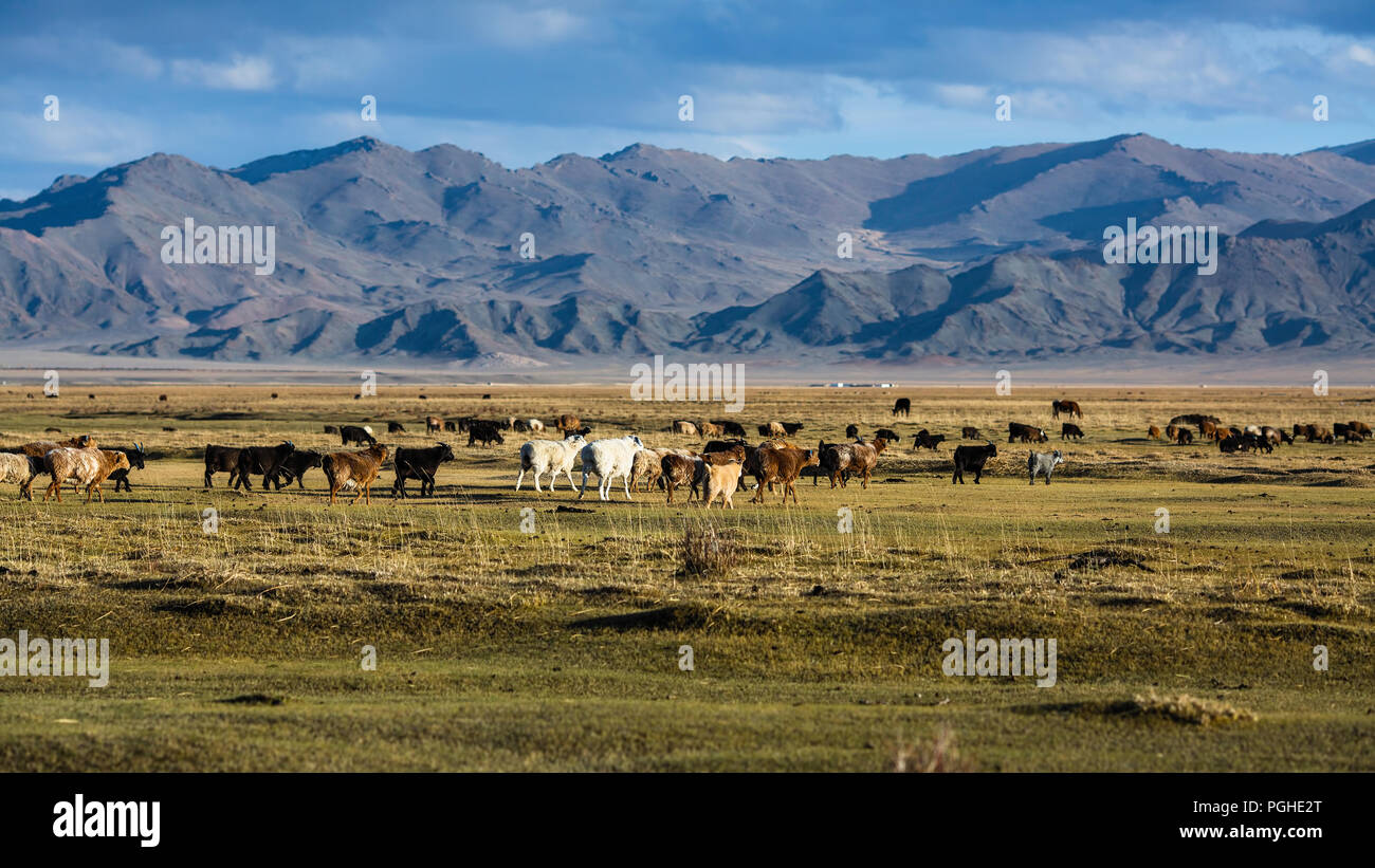 Landscape of the steppe and mountains in Western Mongolia Stock Photo ...