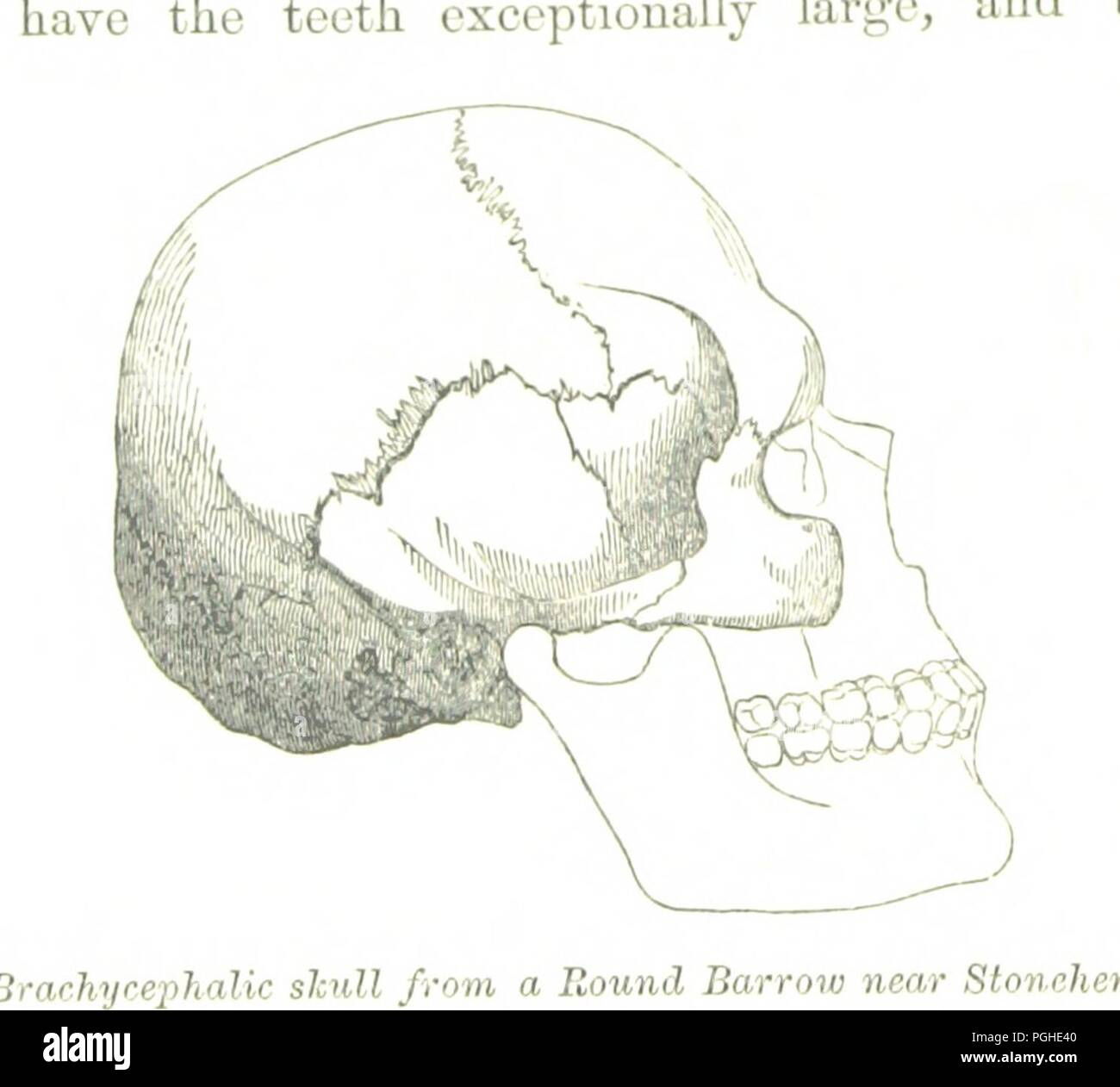 Image from page 42 of 'On the Two Principal Forms of Ancient British ...