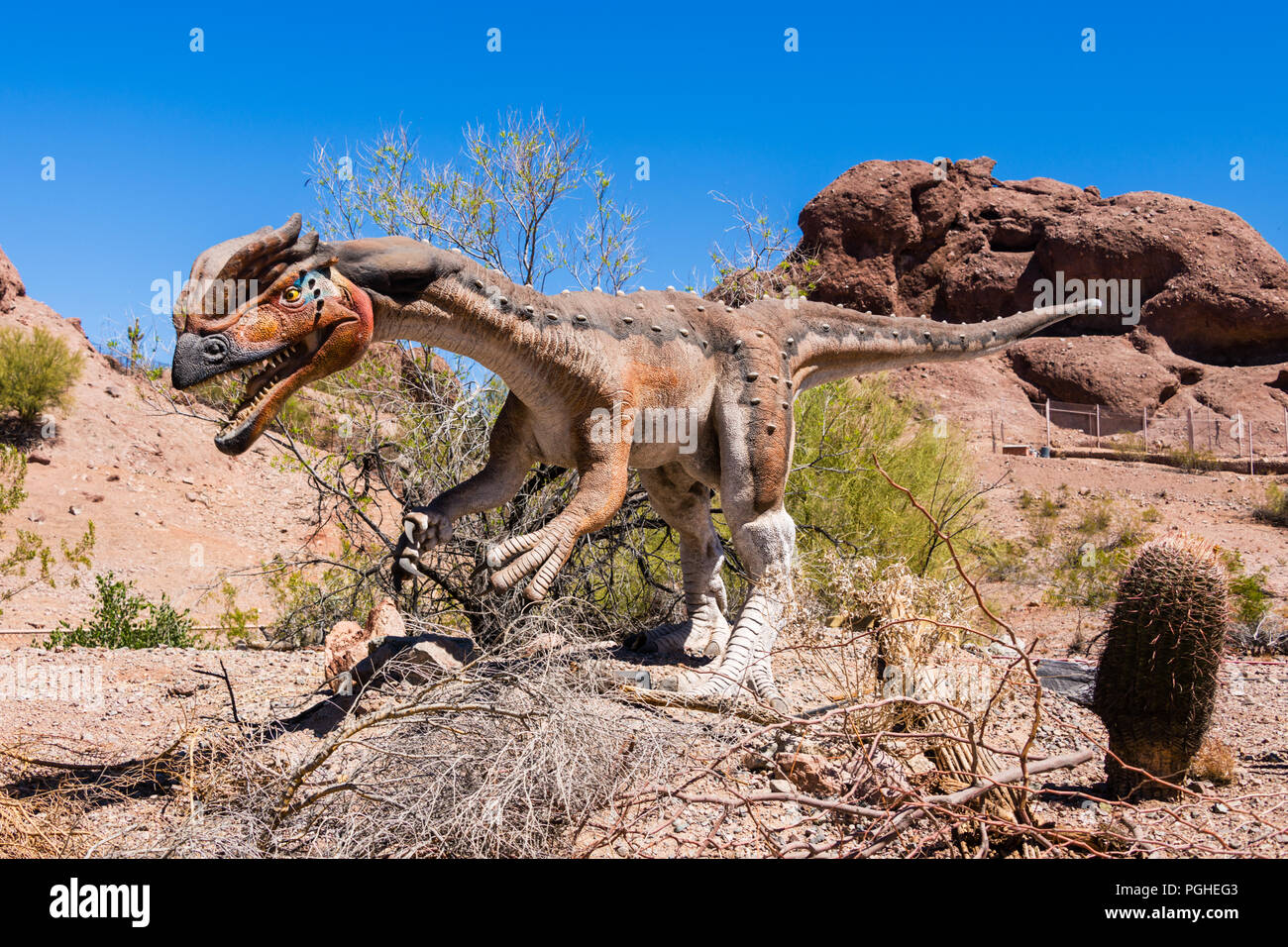 Dinosaurus Zoo Phoenix Arizona