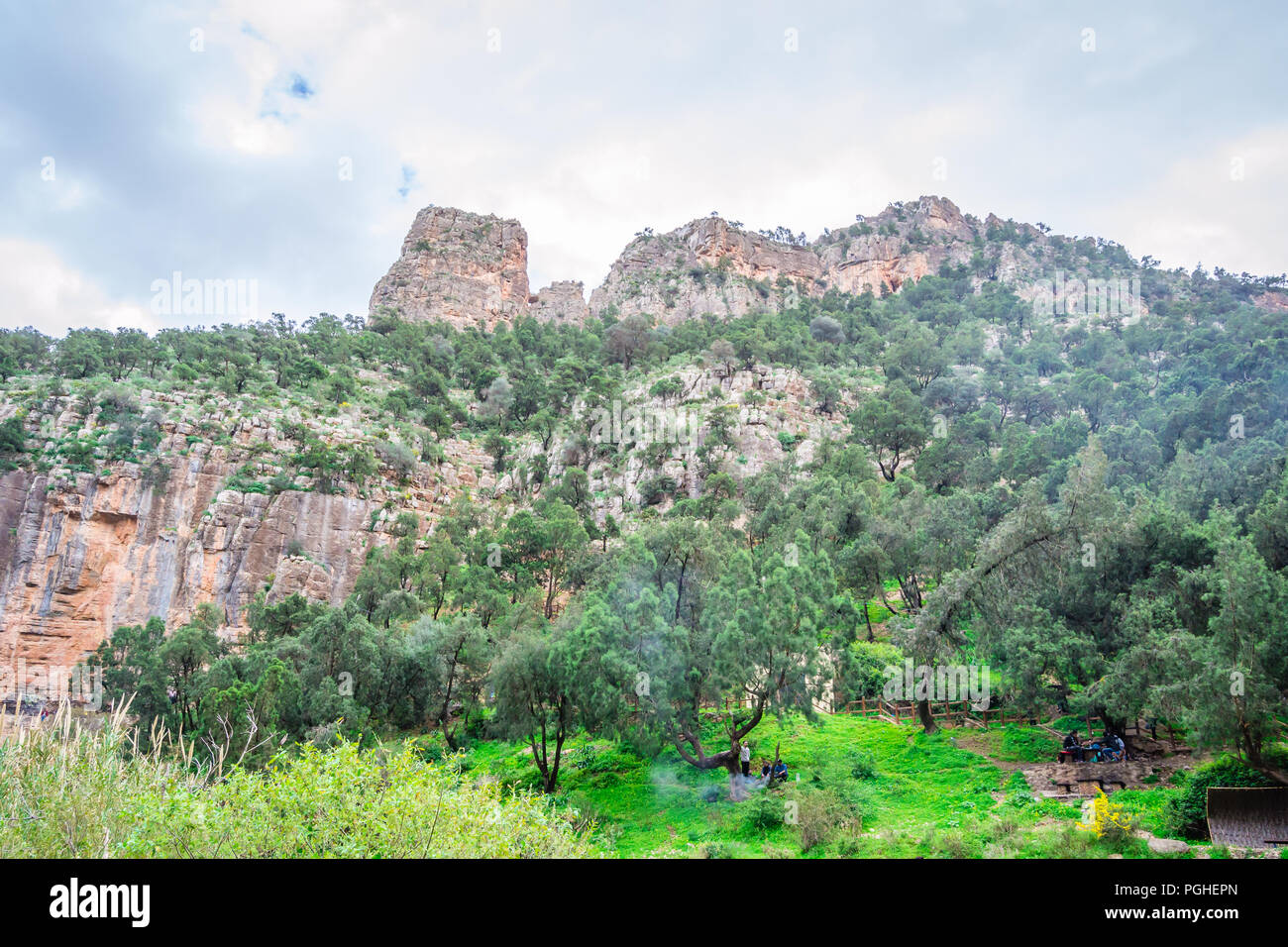 Beautiful forest landscape morocco hi-res stock photography and images ...