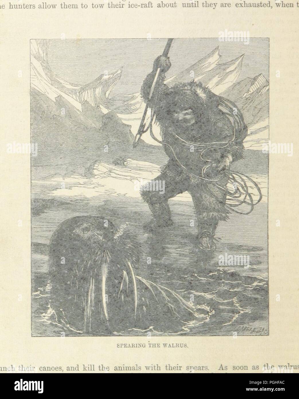 Image from page 778 of 'The Natural History of Man; being an account of ...