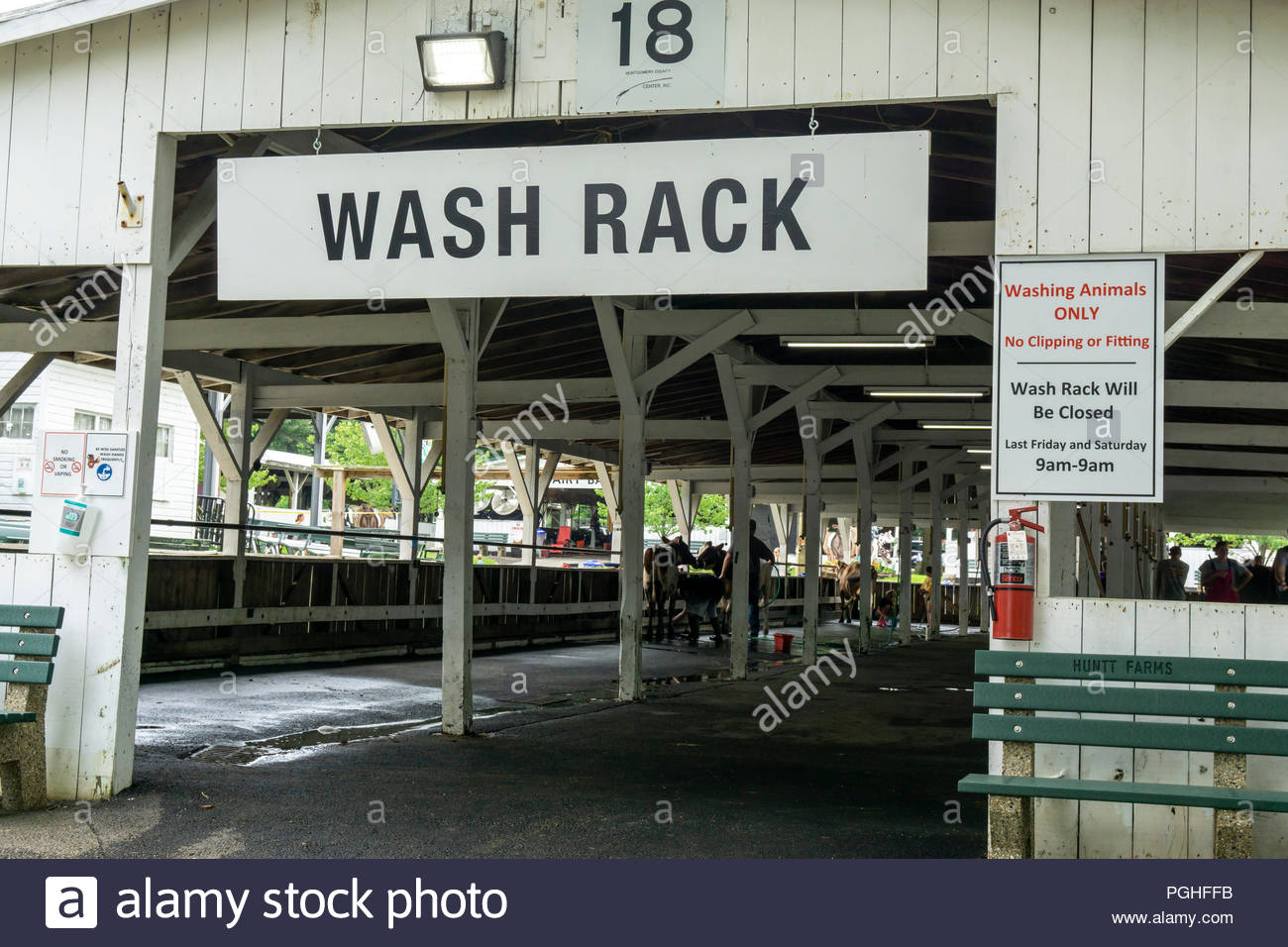 Washing Cattle High Resolution Stock Photography and Images - Alamy