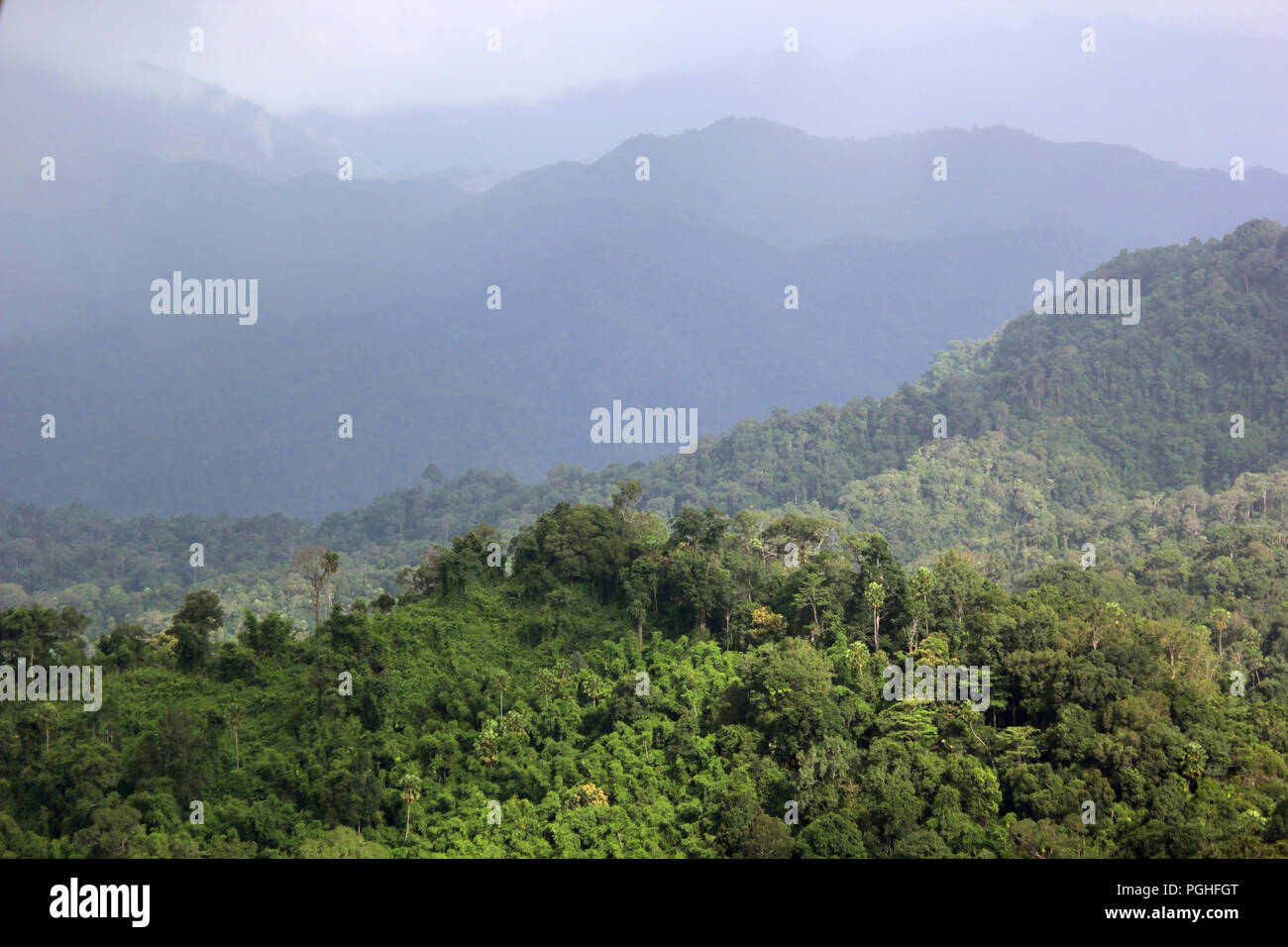 landscape view of green mountains covered with forest trees Stock Photo ...