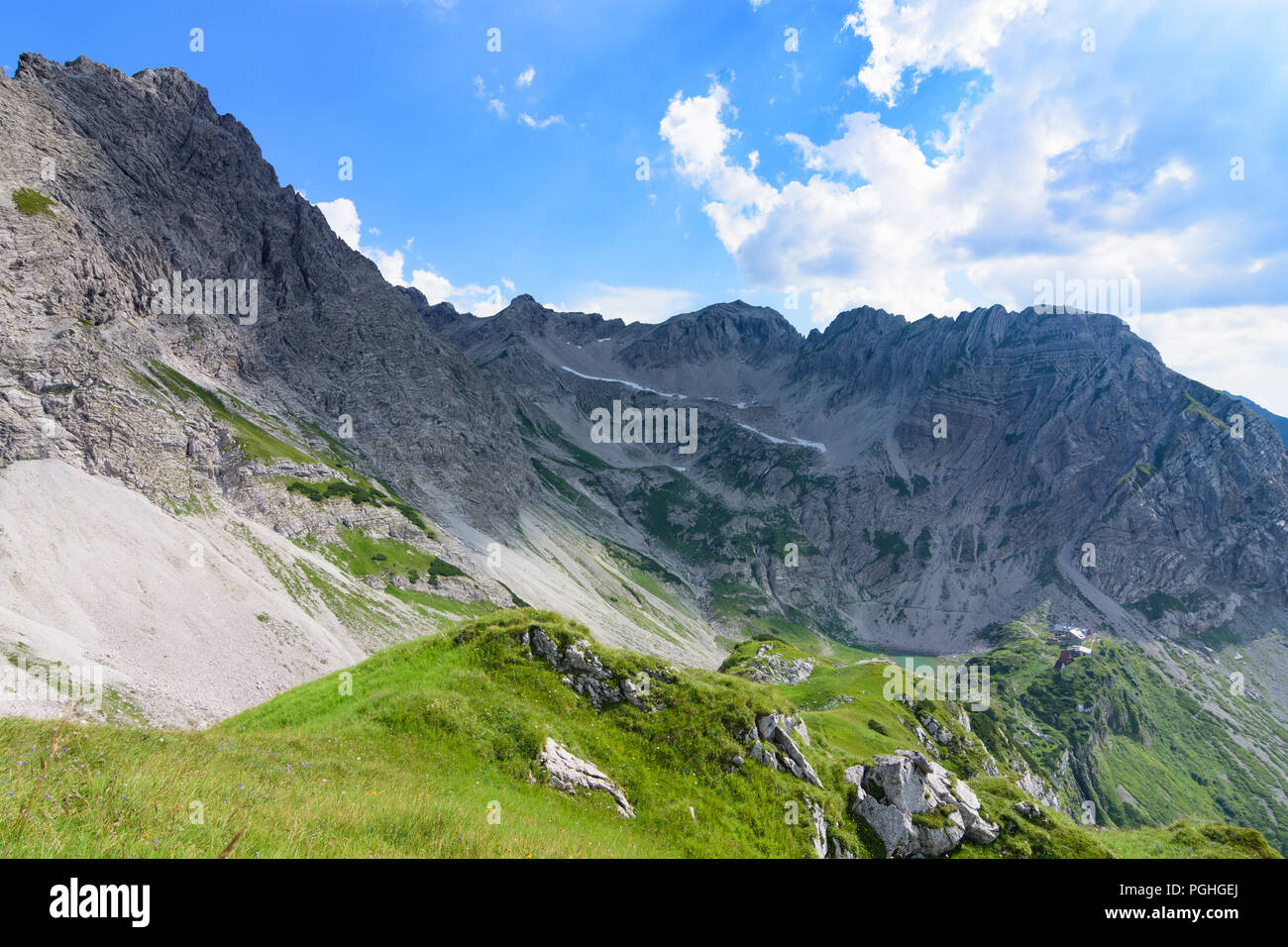 Allgäuer Alpen: summit Hochvogel, valley Oberes Tal, flowers, mountain ...