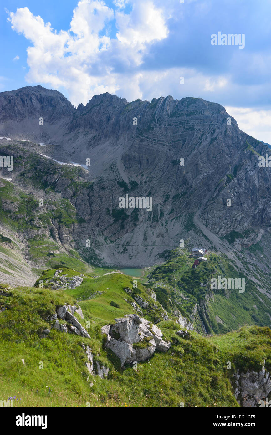 Allgäuer Alpen: summit Hochvogel, valley Oberes Tal, flowers, mountain ...