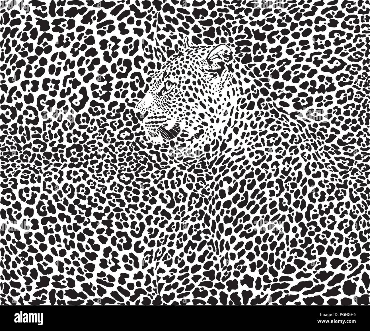 Leopard coat Stock Vector Images - Alamy