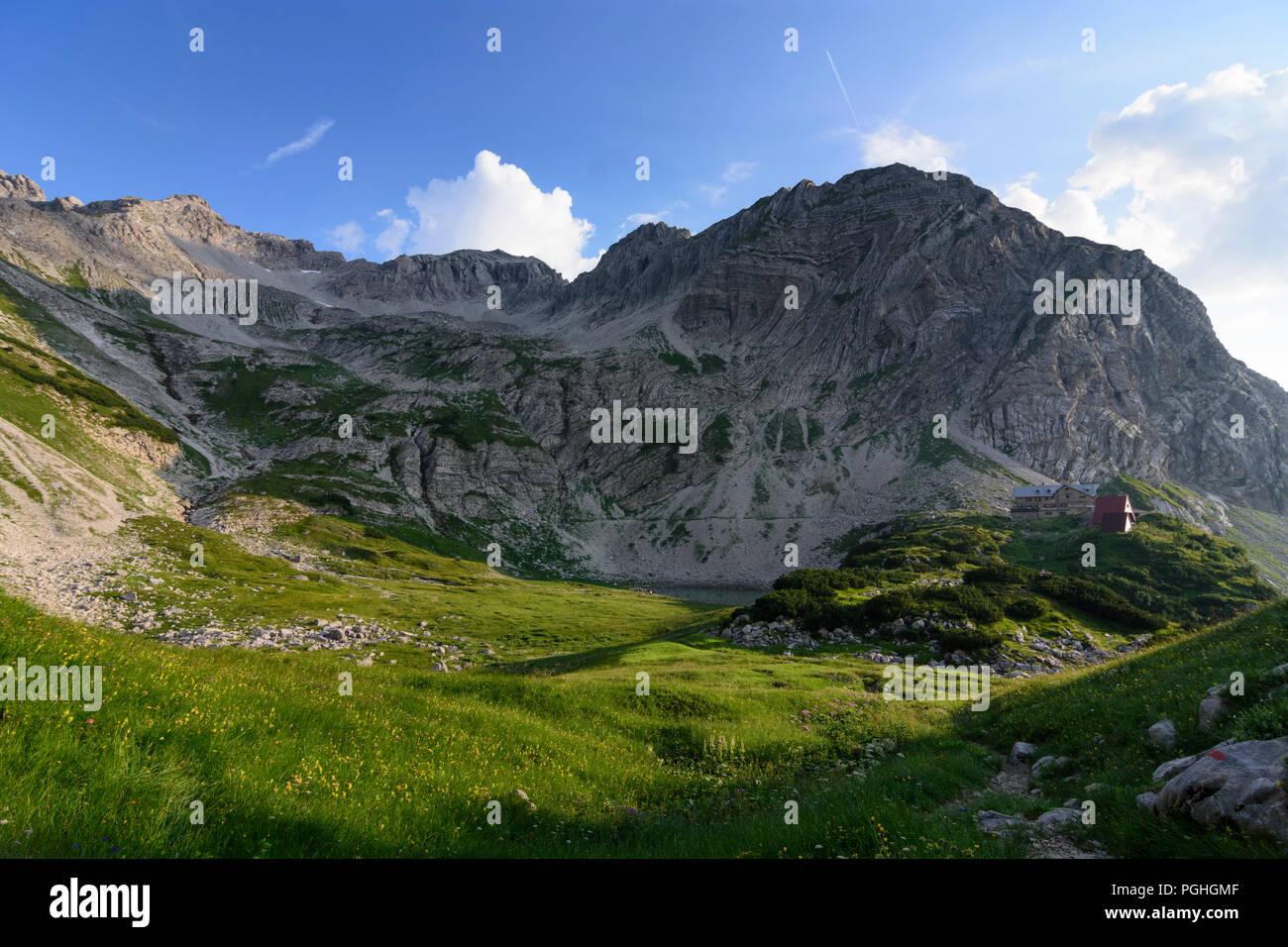 Allgäuer Alpen: summit Hochvogel, valley Oberes Tal, flowers, mountain ...