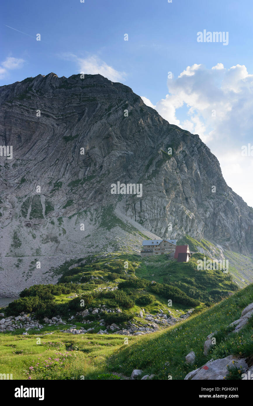 Allgäuer Alpen: mountain hut Prinz-Luitpold-Haus, flowers, summit ...