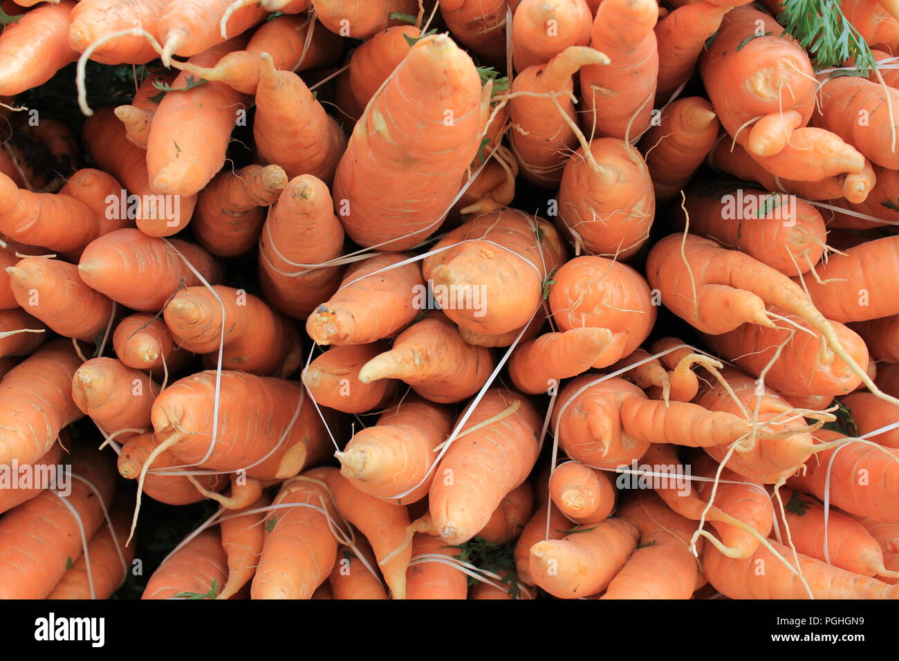 Farm fresh carrots on display at the Farmer's Market at Daley Plaza in ...