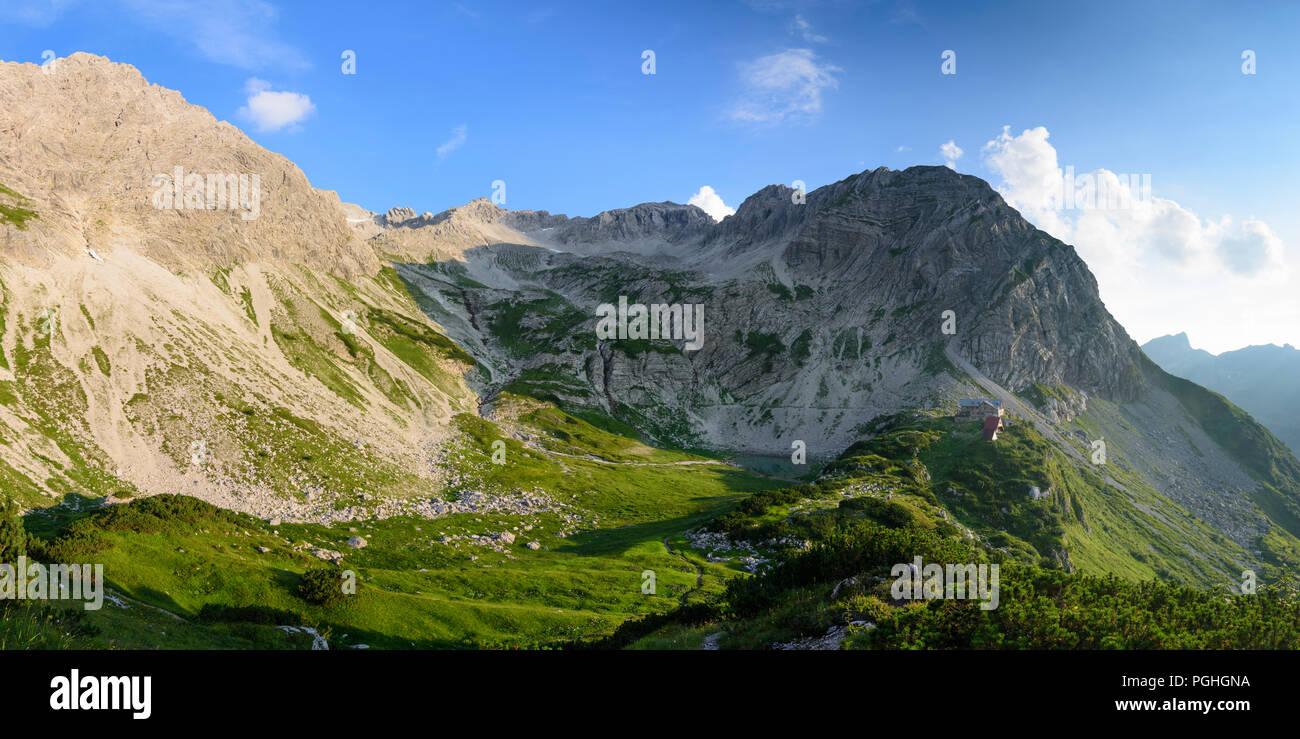 Allgäuer Alpen: summit Hochvogel, valley Oberes Tal, flowers, mountain ...