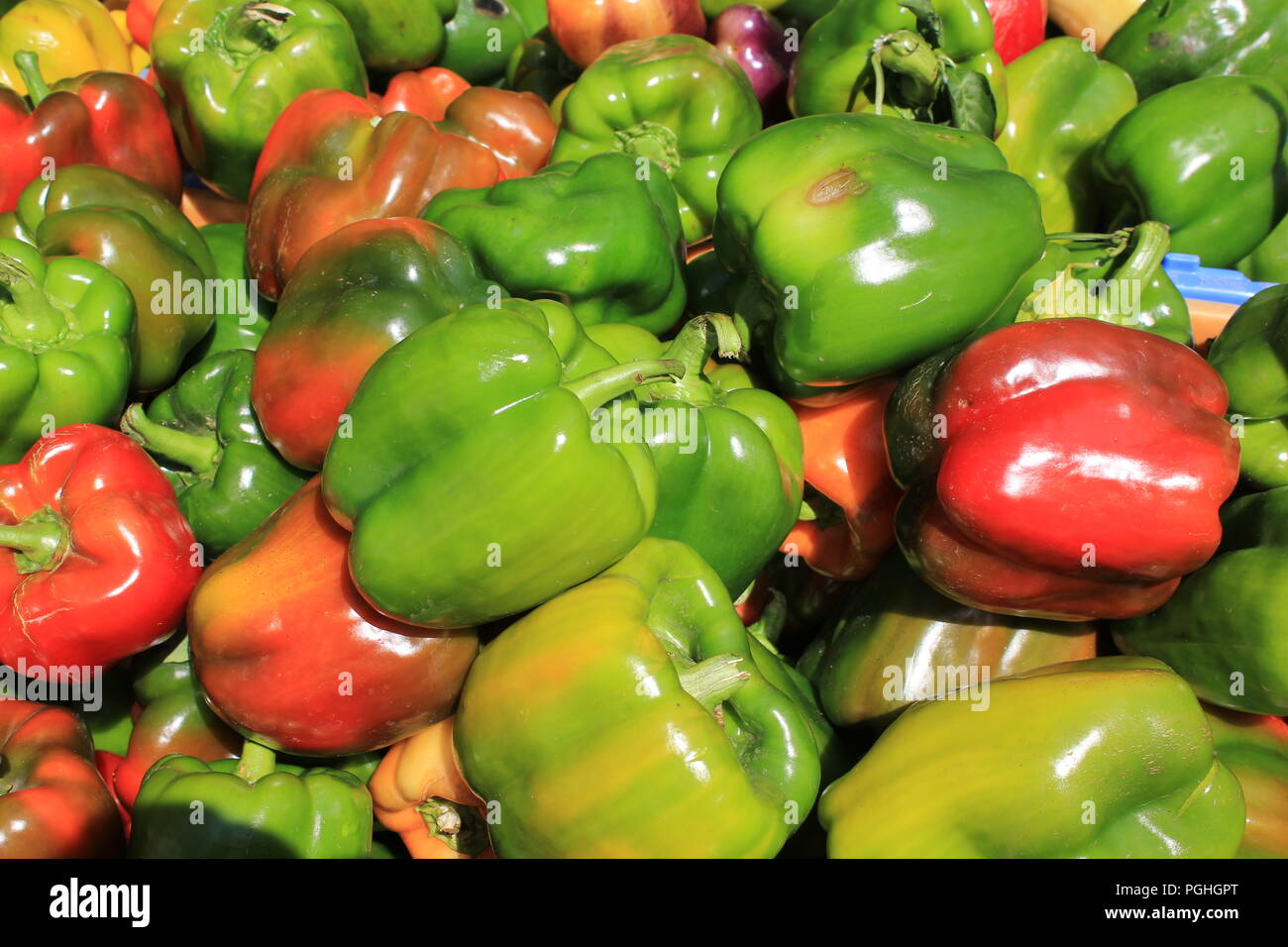 Farm fresh green bell peppers, Capsicum annuum, at the Farmer's Market ...