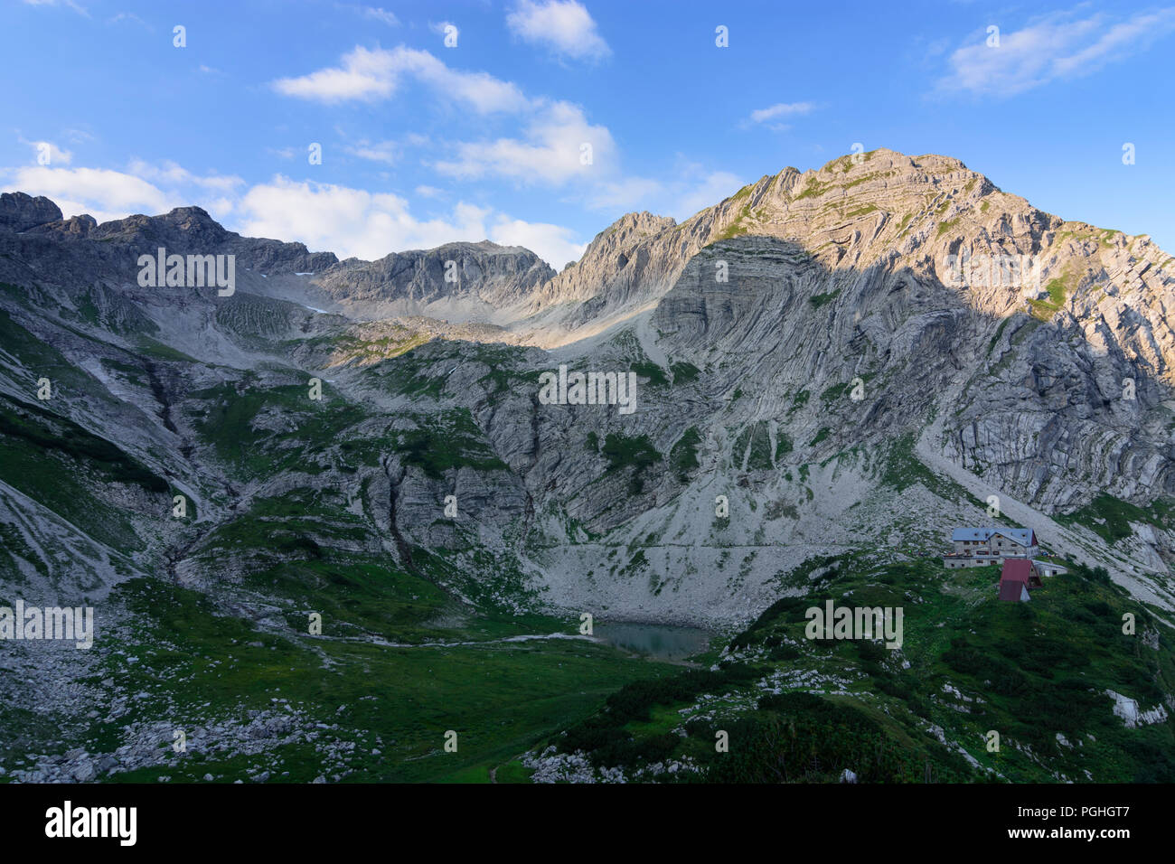 Allgäuer Alpen: summit Hochvogel, valley Oberes Tal, flowers, mountain ...