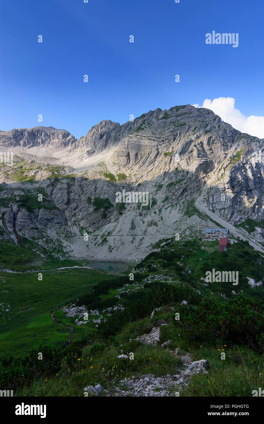 Allgäuer Alpen: mountain hut Prinz-Luitpold-Haus, flowers, summit ...