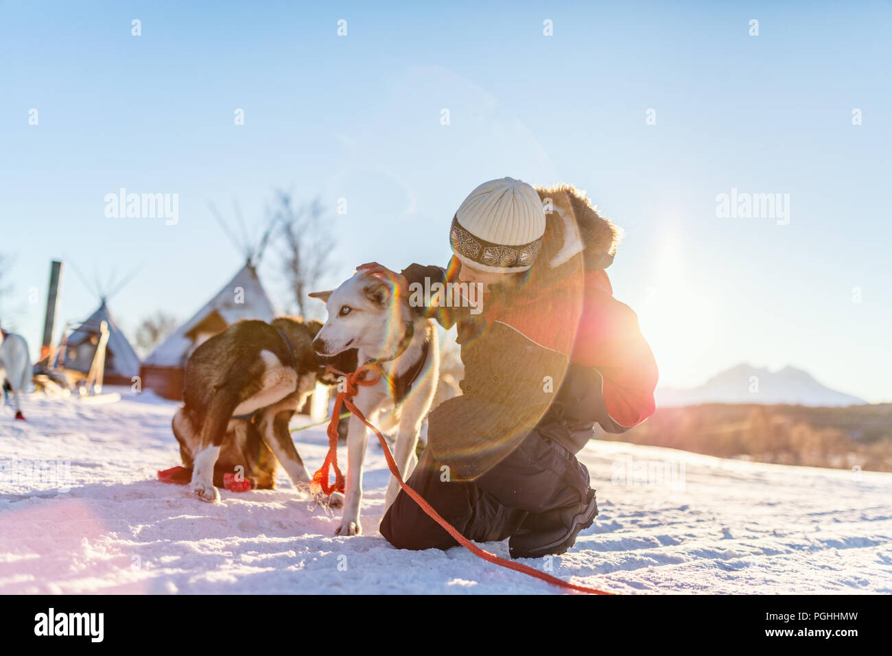 Teenage boy having a cuddle with husky sled dog in Northern Norway ...