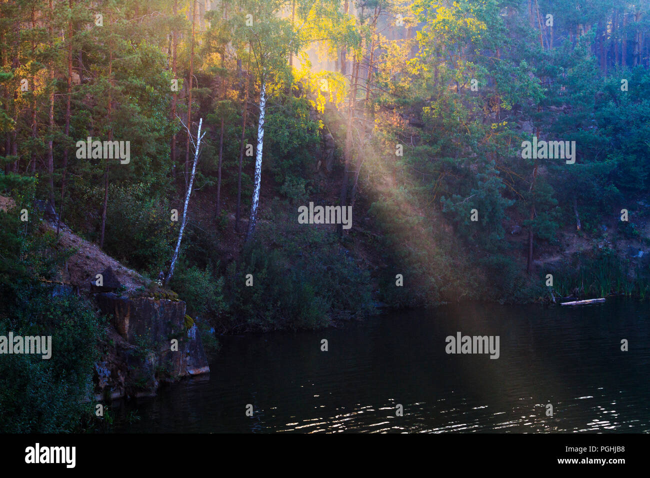 ray evening sun shines through the forest in lake Stock Photo - Alamy