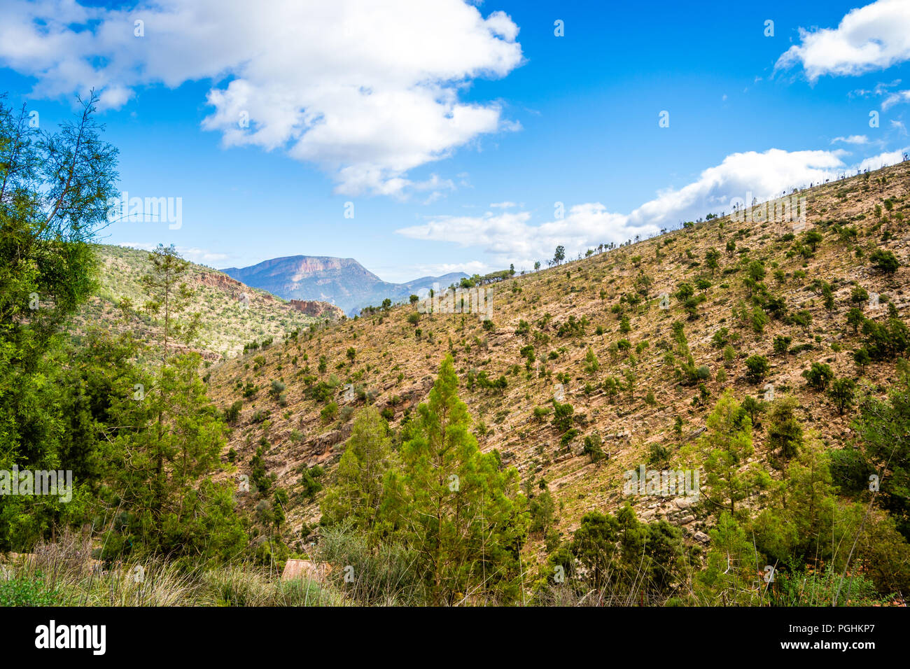Oujda morocco hi-res stock photography and images - Alamy