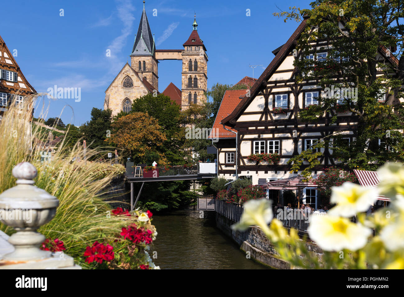 Vineyard esslingen neckar baden wuerttemberg hi-res stock photography ...