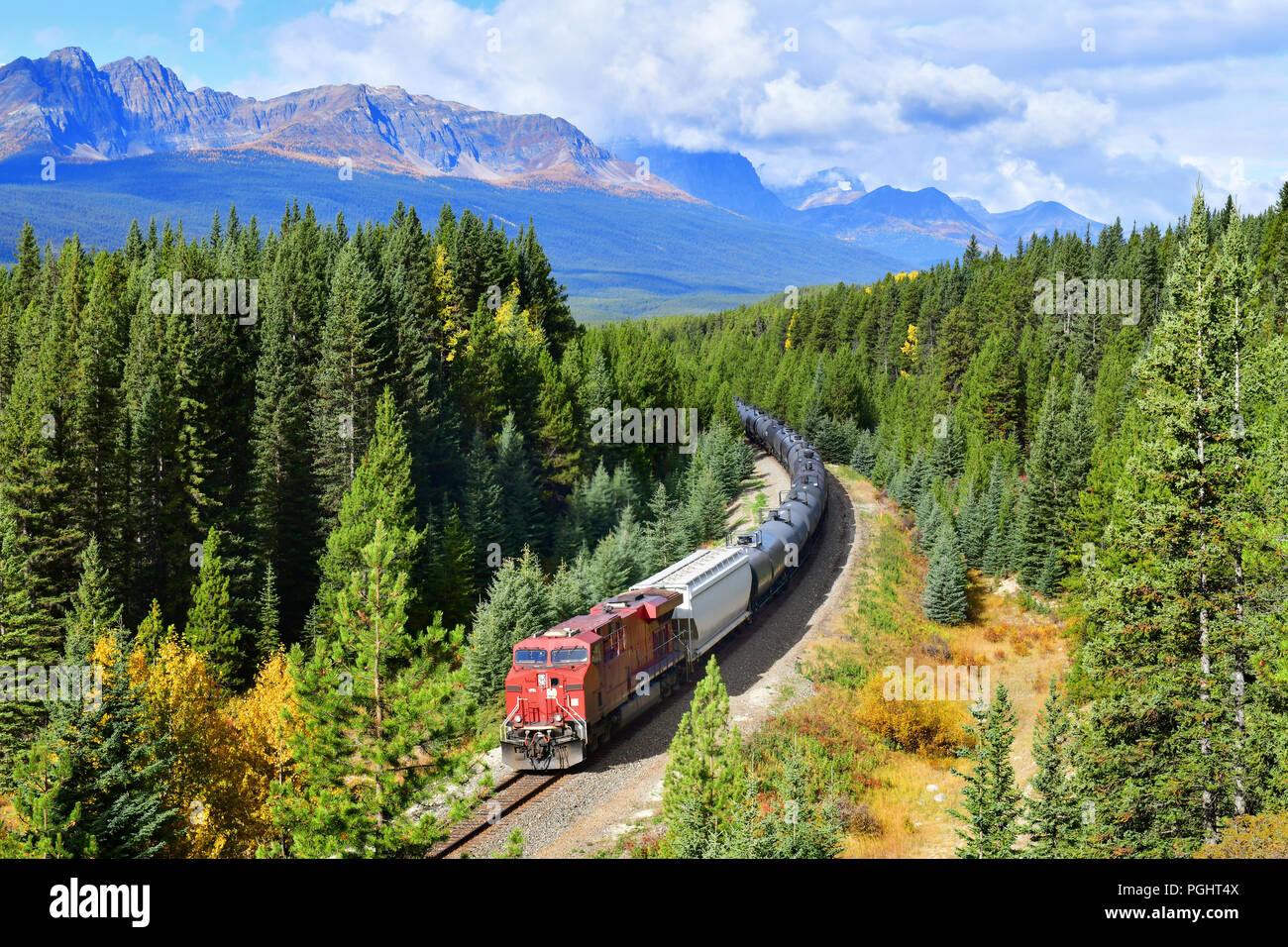 Train passing famous Morant's curve at Bow Valley in autumn ,Banff National Park, Canadian ...