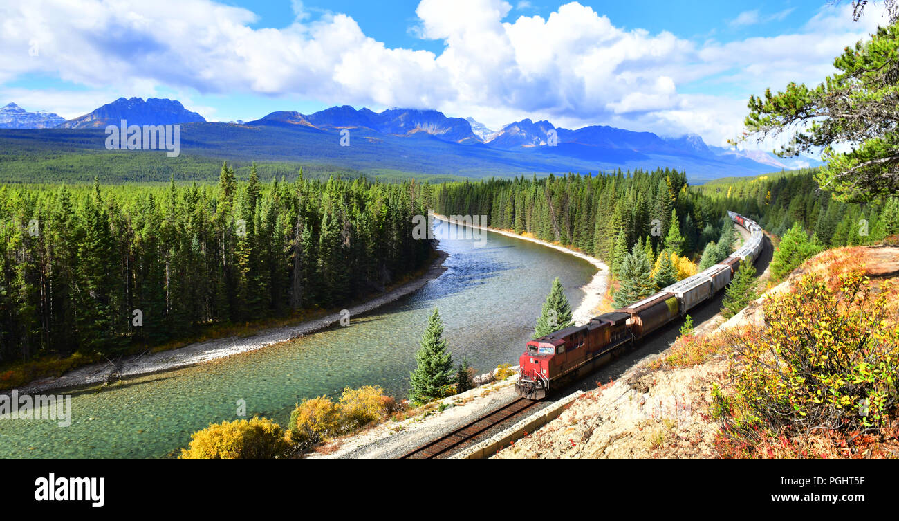 Train passing famous Morant's curve at Bow Valley in autumn ,Banff National Park, Canadian ...