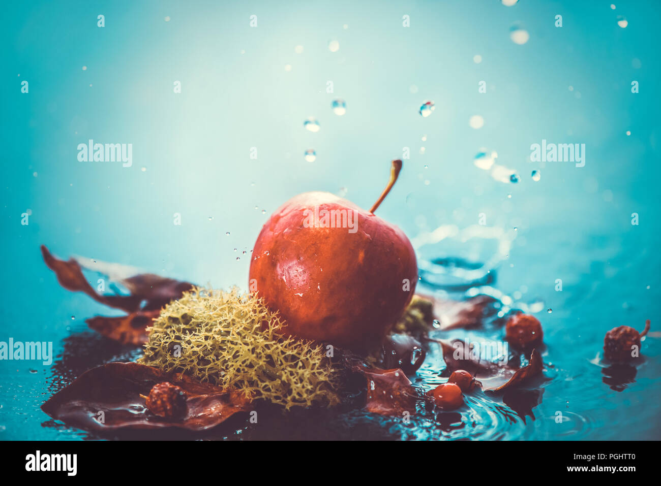 Autumn apples under rain still life. Fall harvest header with water ...