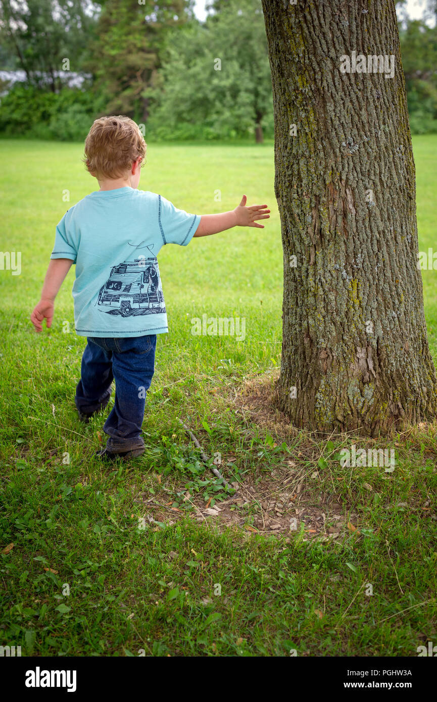 Toddler walking around a tree Stock Photo - Alamy