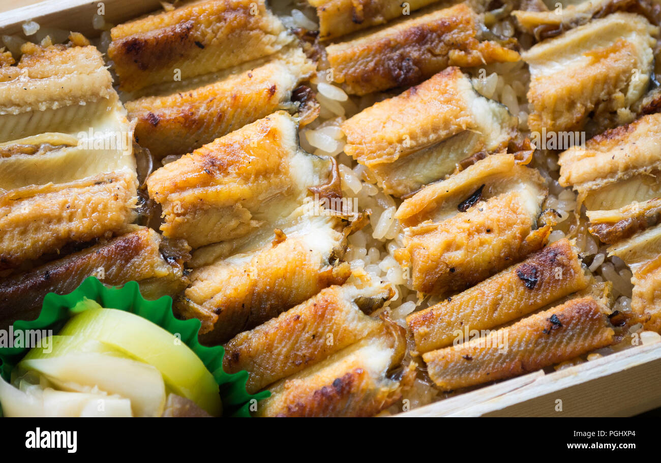 The famous conger eel lunch box (anagomeshi, anago meshi, anago-meshi ...