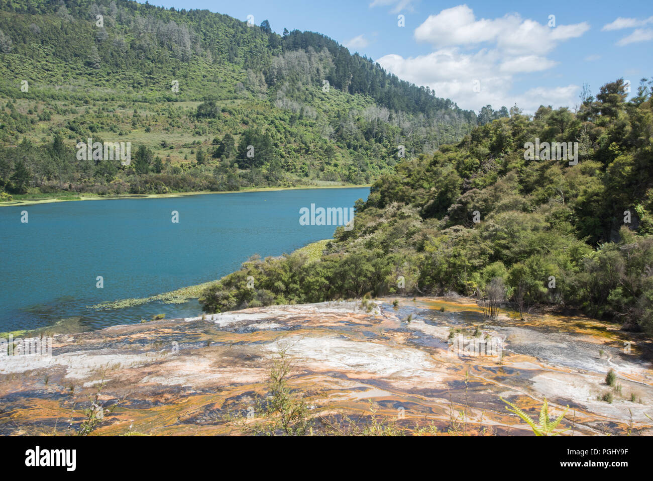 Lake ohakuri hi-res stock photography and images - Alamy