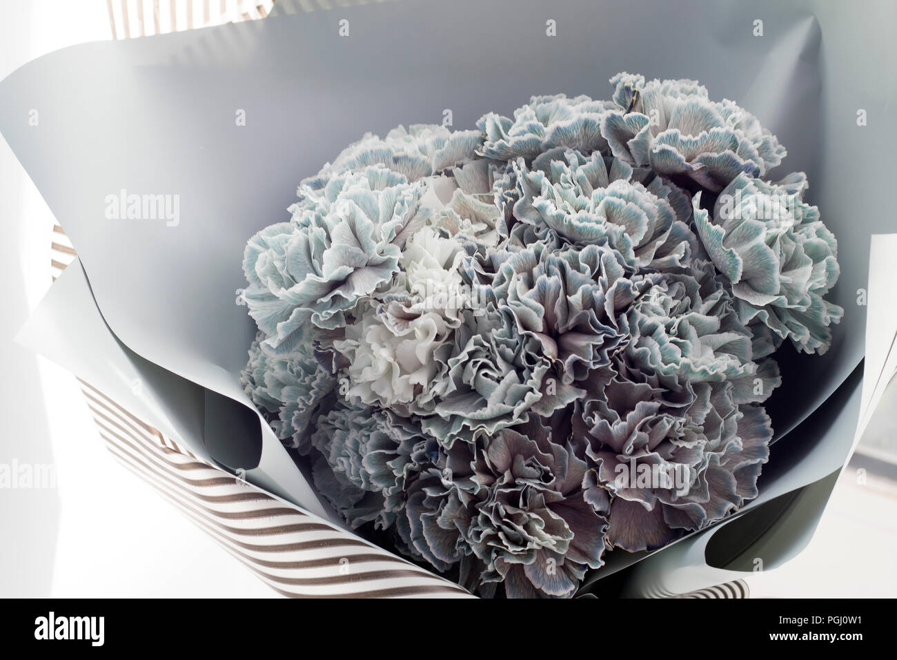 Stylish bridal bouquet carnations colored in green in a tin pitcher on ...