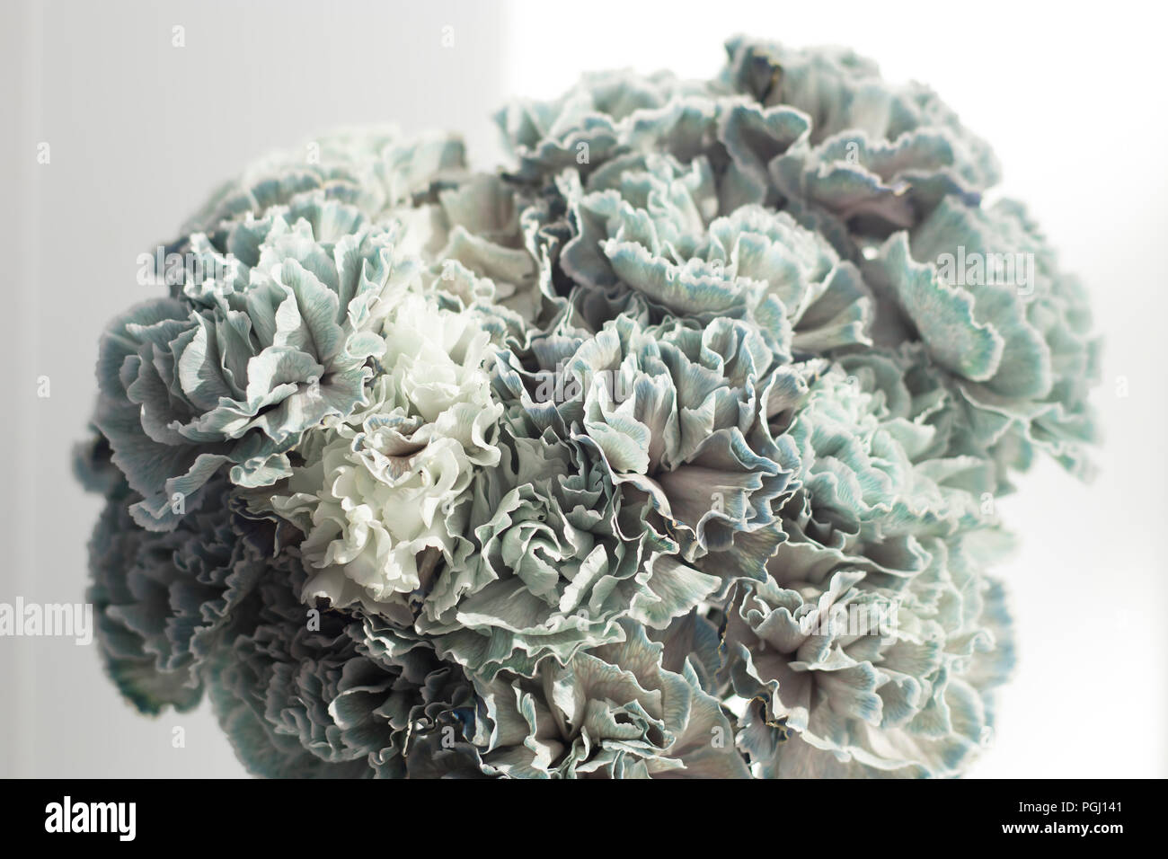 Stylish bridal bouquet carnations colored in green in a tin pitcher on ...