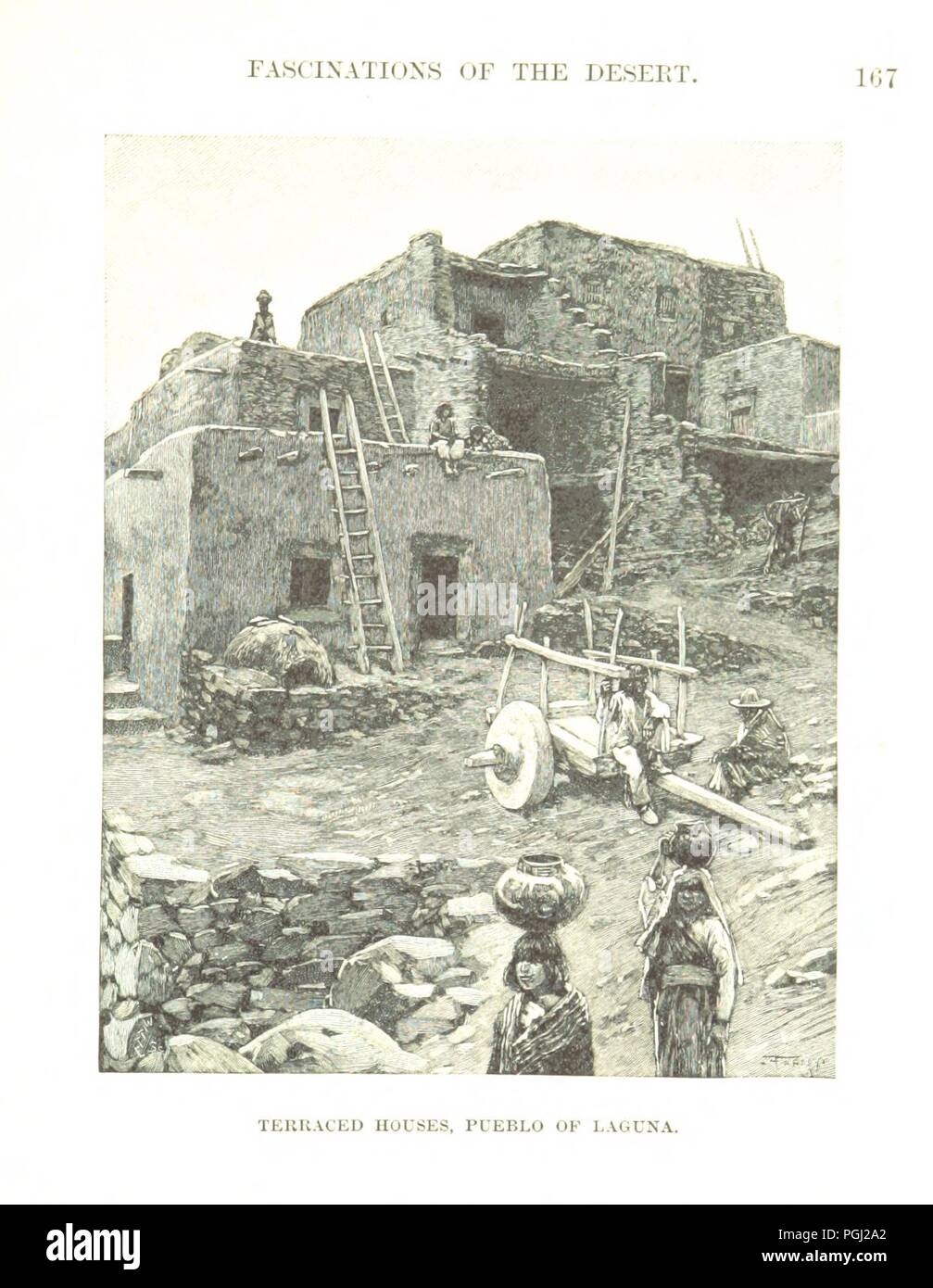Image from page 181 of 'A Year in Italy,-our Italy [i.e. California ...